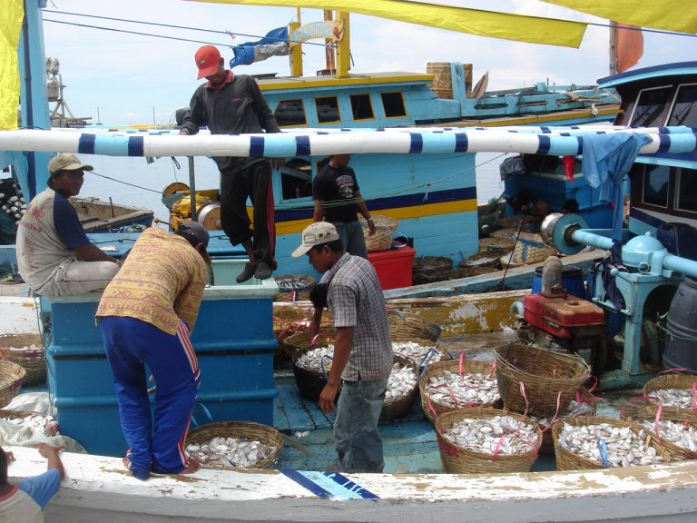 Konsep Pembangunan Tempat Pelelangan Dan Pelabuhan Ikan Hardiwinoto